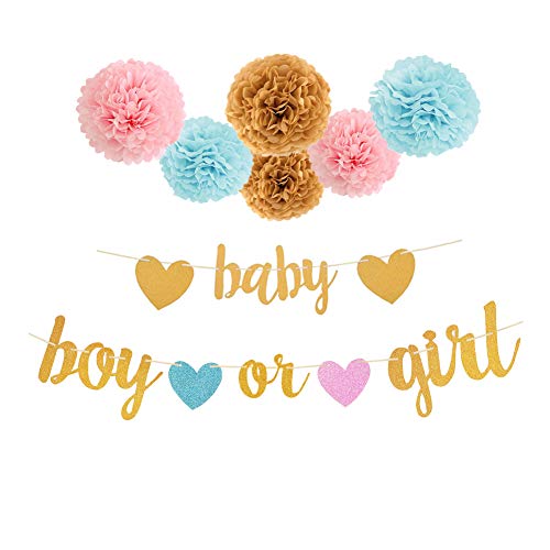 Aonor Gender Reveal Party Decorations - Glitter Letters Baby and BOY OR Girl with Hearts Banner, Tissue Paper Pom Poms Set for Baby Shower Party Decorations