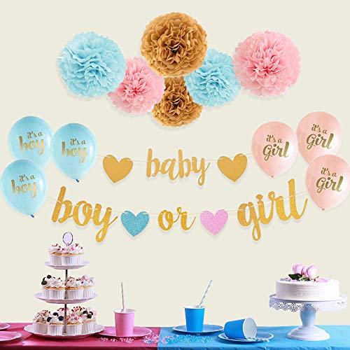 Aonor Gender Reveal Party Decorations - Glitter Letters Baby and BOY OR Girl with Hearts Banner, Tissue Paper Pom Poms Set for Baby Shower Party Decorations