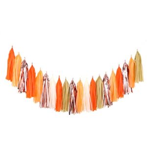 fonder mols little cutie baby shower decorations tissue paper tassel garlands diy kit, orange tassel banner, thanksgiving decor, rustic (pack of 25pcs, orange tan beige rose gold mad orange) a20