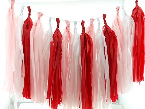 Valentine's Day Paper Garland, Red & Pink Cupid Tissue Paper Party Tassels (Set of 15) - Valentines Party Supplies & Wedding Decorations, Valentines Day Party Decor & Photo Backdrops