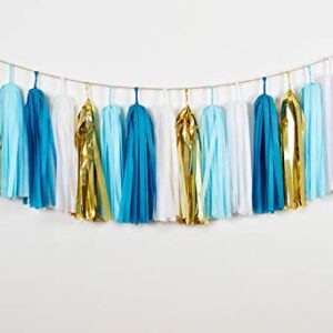 Hellensp 20 PCS Blue Tissue Tassels Garland Table Decor Party Tassel Garland Banner for Birthday,Baby Shower,Wedding,Anniversary,DIY Kits