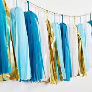 Hellensp 20 PCS Blue Tissue Tassels Garland Table Decor Party Tassel Garland Banner for Birthday,Baby Shower,Wedding,Anniversary,DIY Kits