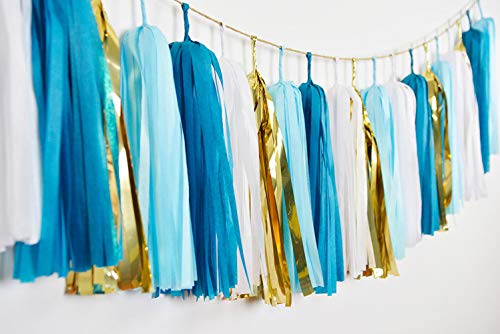 Hellensp 20 PCS Blue Tissue Tassels Garland Table Decor Party Tassel Garland Banner for Birthday,Baby Shower,Wedding,Anniversary,DIY Kits