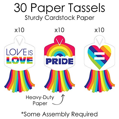 Big Dot of Happiness Love is Love - Gay Pride - 90 Chain Links and 30 Paper Tassels Decoration Kit - LGBTQ Rainbow Party Paper Chains Garland - 21 feet