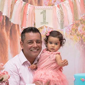 1st Birthday Banner For Baby - Pink Party Theme Pull Flag，highchair Banner - Flag On The Cake, Birthday Banner - Photo Booth Props, Cute Party Favor Supplies (Pink 1st banner)