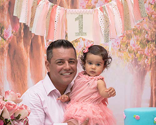 1st Birthday Banner For Baby - Pink Party Theme Pull Flag，highchair Banner - Flag On The Cake, Birthday Banner - Photo Booth Props, Cute Party Favor Supplies (Pink 1st banner)