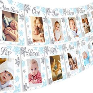 Winter Onederland Birthday Decorations Snowflake First Birthday Photo Banner - Milestone, Monthly Newborn to 12 Months Banner Clips for Snowflake Themed 1st Birthday Party Decorations