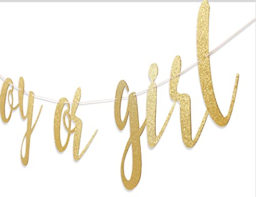 Boy or Girl Banner - Gender Reveal Decorations Banner, Boy or Girl Sign,baby Shower Banner for Boy/girl, Baby Girl Shower,oh Baby Banner,girl Baby Shower,it’s a Girl Banner