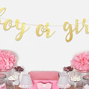 Boy or Girl Banner - Gender Reveal Decorations Banner, Boy or Girl Sign,baby Shower Banner for Boy/girl, Baby Girl Shower,oh Baby Banner,girl Baby Shower,it’s a Girl Banner