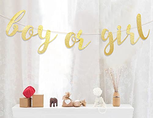 Boy or Girl Banner - Gender Reveal Decorations Banner, Boy or Girl Sign,baby Shower Banner for Boy/girl, Baby Girl Shower,oh Baby Banner,girl Baby Shower,it’s a Girl Banner