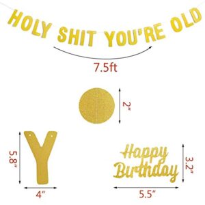 Birthday Party Decorations Holy Sht You're Old Glitter Gold Banner Circle Dots Garland Happy Birthday Cake Topper 30th-40th-50th-60th-70th-80th Birthday Party Baby Shower Supplies Funny Photo Props