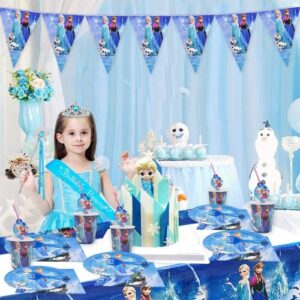 Bleasky Birthday Party Supplies Set 71 pcs Birthday Decorations Birthday Party Decorations Frozen Party Includes Table Cloth,Happy Birthday Banner, Plates Cups Napkins,Spoons,Forks