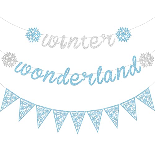 Gersoniel 3 Pieces Snowflake Winter Wonderland Banner Snowflake Paper Garland Snowflake Hanging Banner Silver Glittery Snowflake Decorations for Snow Christmas Wedding Birthday Party (Blue, Silver)