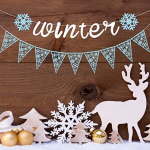 Gersoniel 3 Pieces Snowflake Winter Wonderland Banner Snowflake Paper Garland Snowflake Hanging Banner Silver Glittery Snowflake Decorations for Snow Christmas Wedding Birthday Party (Blue, Silver)