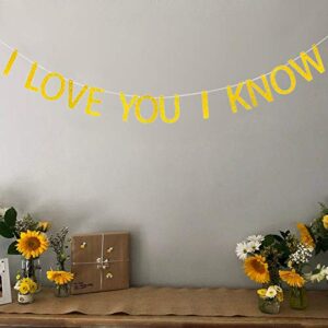 I Love You I Know Banner, Star Wars Theme Wedding Banner, Han and Leia Wedding Banner Perfect for Wedding Party/Bridal Shower and Anniversary Party Decor