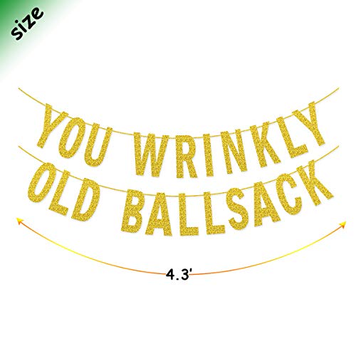 You Wrinkly Old Ball Sack Funny Party Banner for 50th 60th 70th 80th Birthday Party Retirement Party Decorations