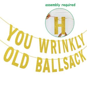 You Wrinkly Old Ball Sack Funny Party Banner for 50th 60th 70th 80th Birthday Party Retirement Party Decorations