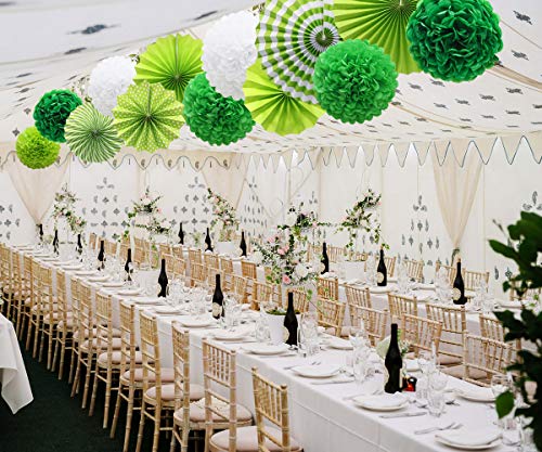 Green Hanging Paper Party Decorations, Round Paper Fans Set Paper Pom Poms Flowers for Birthday Wedding Graduation Baby Shower Events Accessories