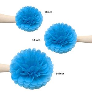 Tissue Paper Pom Poms Paper Flowers for Wedding, Birthday Celebration Party Decorations and Outdoor Decor 15 Pcs of 8,10,14 Inch (Rainbow)