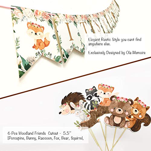 Ola Memoirs Woodland Baby Shower Decorations for Girl - Woodland Creatures It's A Girl Banner, Boho Floral Forest Animals Cutouts, Rose Gold Baby Girl Balloons, Pink, Khaki Pom Poms, Gold Lanterns