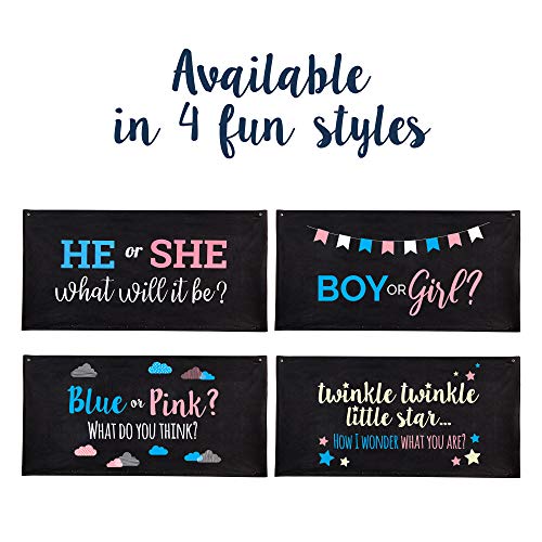 Pop Fizz Designs | Gender Reveal Balloon Drop Bag | He or She, What Will it Be?