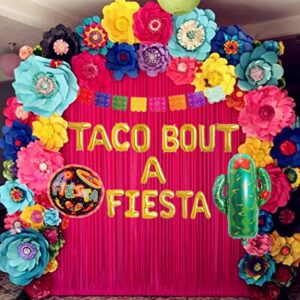 JeVenis Set of 10 Taco Bout a Fiesta Balloons Taco Bout a Party Decoration Fiesta Banner Cactus Baby Shower Decor Fiesta Baby Shower Decorations