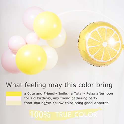 Pastel Yellow Balloon Garland Kit 127Pcs Lemon balloon arch For baby shower Lemonade party main squeeze bridal shower decorations