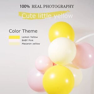 Pastel Yellow Balloon Garland Kit 127Pcs Lemon balloon arch For baby shower Lemonade party main squeeze bridal shower decorations