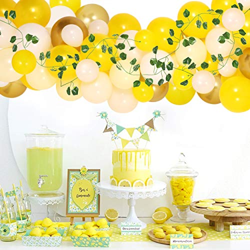 Sunflower Lemonade Party Balloon Garland Kit, Yellow Pastel Yellow Balloons Garland Kit Ideal for Sunflower Lemonade Stand Baby Bridal Shower Birthday Party Decorations