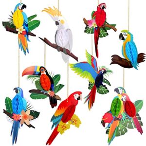 9 pieces tropical birds honeycomb paper cutouts rio luau party hanging decorations rainforest hanging paper birds hawaiian summer parrot honeycomb cutouts for luau summer party decor