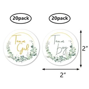 Greenery Gender Reveal Stickers, 2 Inch Green Leaves Team Girl Boy Baby Shower Party Favor 40-Pack