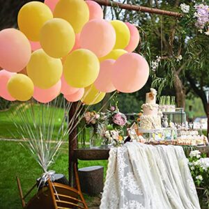 Pastel Balloon Garland Arch Kit Diy Balloon Bouquet Garland Kit Ideal for Baby Shower Wedding Birthday Party Decorations (Yellow and Pink)