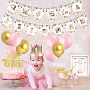 Wild One Birthday Decorations for Girl, 1st Birthday Girl Decorations Supplies Kit, Wild One Monthly Photo Banner, Boho Floral Wild One Balloon Garland, 1st Birthday Crown, Cake Toppers, Birthday Sign