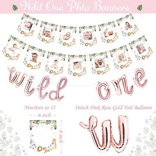 Wild One Birthday Decorations for Girl, 1st Birthday Girl Decorations Supplies Kit, Wild One Monthly Photo Banner, Boho Floral Wild One Balloon Garland, 1st Birthday Crown, Cake Toppers, Birthday Sign