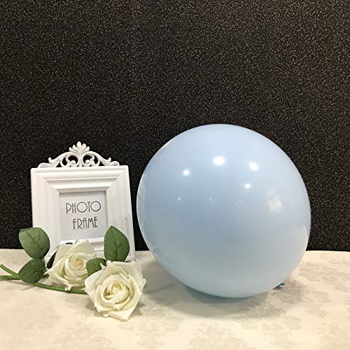 Pastel Blue Balloons 10 inch 100pcs Baby Blue Latex Balloons for Party Birthday Wedding Anniversary or any Party Decorations-pastel blue