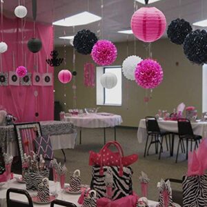 15pcs Hanging Party Decorations Set, Hot Pink White Black Paper Flowers Pom Poms Balls and Paper Lanterns for Minnie Mouse Theme Birthday Baby Shower Bachelorette Party