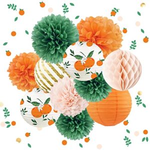 nicrohome little cutie baby shower decorations, 12 pcs orange green tissue pom poms citrus paper lanterns confetti 50g for summer party, birthday, fruit party