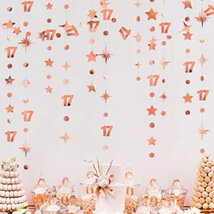 Rose Gold 17th Birthday Decorations Number 17 Circle Dot Star Garland Streamer Bunting Banner Backdrop for Girls Seventeen Year Old Birthday 17 and Fabulous Happy 17th Anniversary Party Supplies