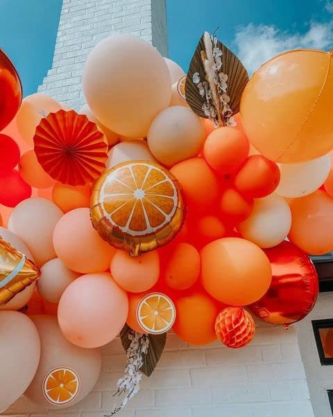 Little Cutie Orange Balloon Garland Arch Kit Macaron Orange And White Baby Shower Tangerine Theme Birthday Party Decor