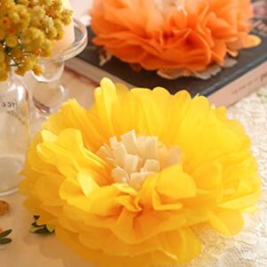 Fonder Mols Yellow Orange Gold Tissue Paper Flowers Tissue Pom Poms Blooms for Little Cutie Baby Shower, Nursery Decor, Fall Birthday Party Decorations(Set of 21)