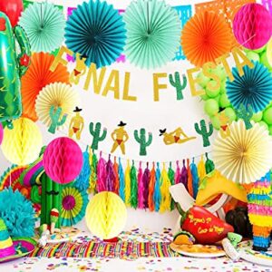 Final Fiesta Bachelorette Party Decorations Fiesta Bridal Shower Final Fiesta Banner Mexican Fiesta Theme Party Decor Mexico Hen Party Supplies Decor