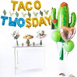 Boy Taco Twosday Birthday Party Decorations, Taco Twosday Balloons Cactus Fiesta Themed Banner for Taco 2sday Birthday Taco 2nd Birthday Party Supplies 14PCS Kit of Qinsly (Blue, Taco 2sDay)