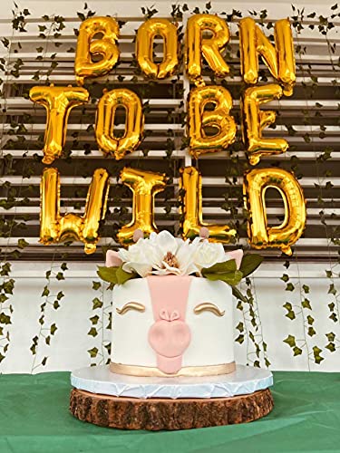 JeVenis Born To Be Wild Balloons Born To Be Wild Birthday Party Decoration Born to be Wild Banner Jungle Baby Shower Safari Baby Shower Decorations