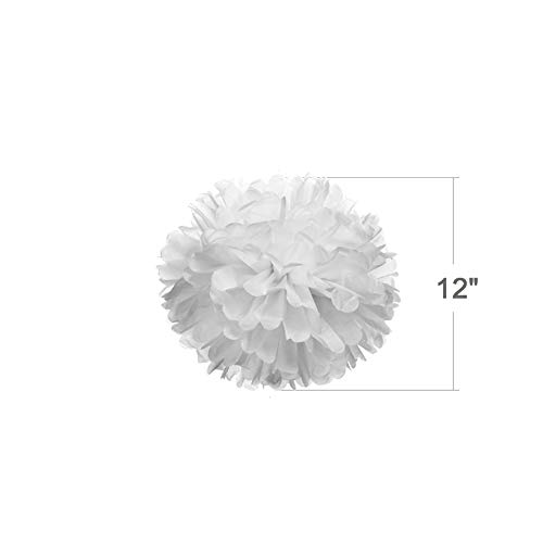 12" White Tissue Pom Poms DIY Hanging Paper Flowers for Party Decorations, 12 pcs