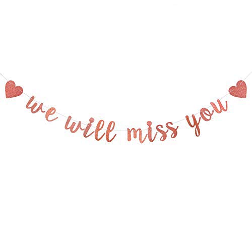 Rose Gold Glitter We Will Miss You Banner--Retirement Party Decorations Sign-Going Away Party Decor-Farewell Party Decorations-Office Work Party Decorations