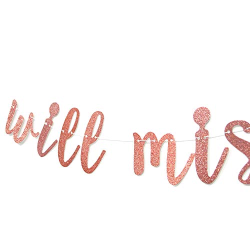 Rose Gold Glitter We Will Miss You Banner--Retirement Party Decorations Sign-Going Away Party Decor-Farewell Party Decorations-Office Work Party Decorations