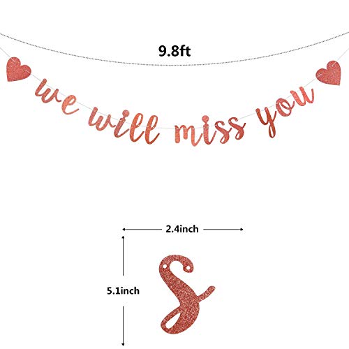 Rose Gold Glitter We Will Miss You Banner--Retirement Party Decorations Sign-Going Away Party Decor-Farewell Party Decorations-Office Work Party Decorations