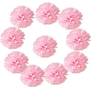 10pcs tissue hanging paper pom-poms flower ball wedding party outdoor decoration, hmxpls premium tissue paper pom pom flowers craft kit(pink)