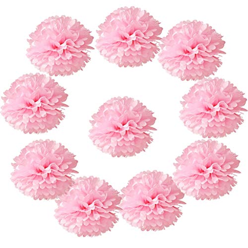 10pcs Tissue Hanging Paper Pom-poms Flower Ball Wedding Party Outdoor Decoration, Hmxpls Premium Tissue Paper Pom Pom Flowers Craft Kit(Pink)