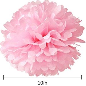 10pcs Tissue Hanging Paper Pom-poms Flower Ball Wedding Party Outdoor Decoration, Hmxpls Premium Tissue Paper Pom Pom Flowers Craft Kit(Pink)